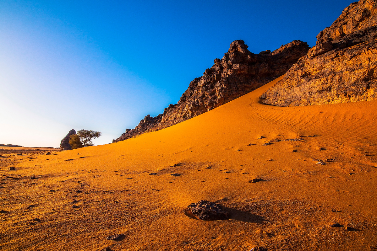 Wonders of the Desert: A Journey to the Sahara - AOVIVO hoje